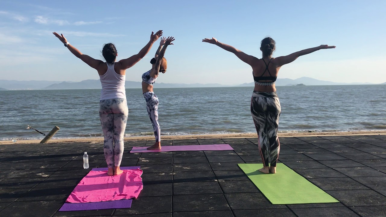 Aula de Vinyasa Yoga completa - Bruna Appel Yoga - YouTube