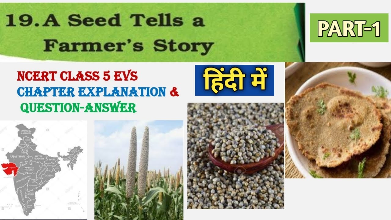 A Seed Tells A Farmer's Story - हिंदी में | Class5 EVS Chapter - 18 ...