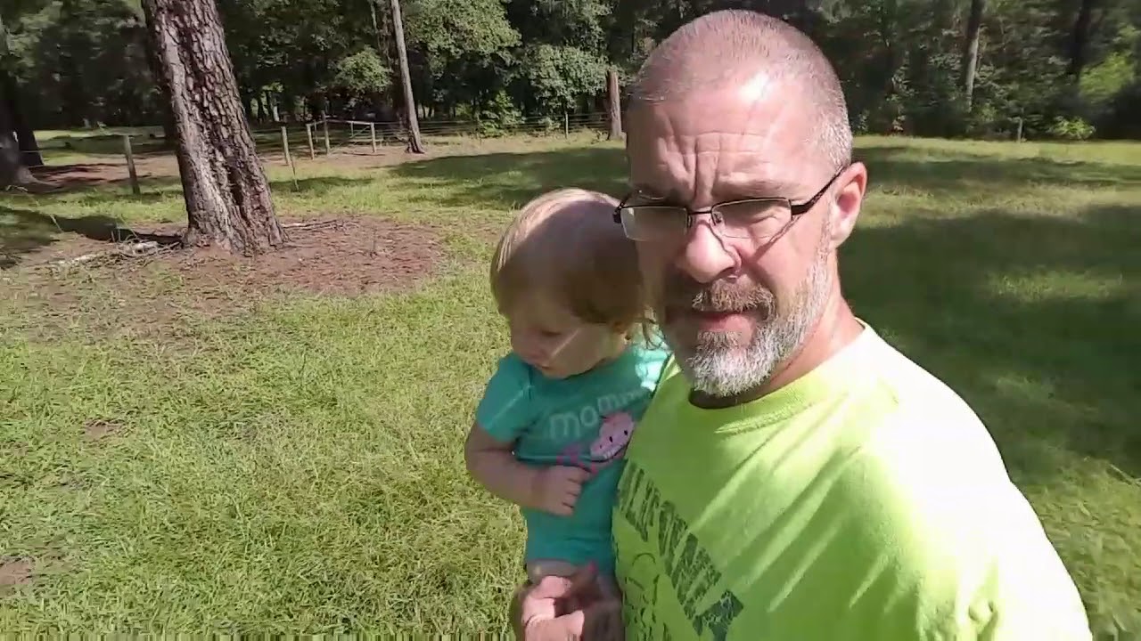 Another fine morning on the farm - YouTube