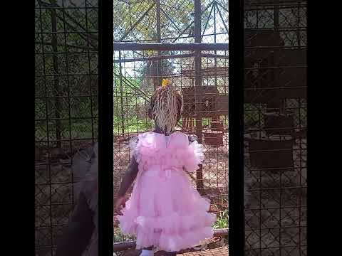 ISHOWSPEED VISITED NAIROBI NATIONAL PARK BT HE MISSED BEST DISHES AT ...