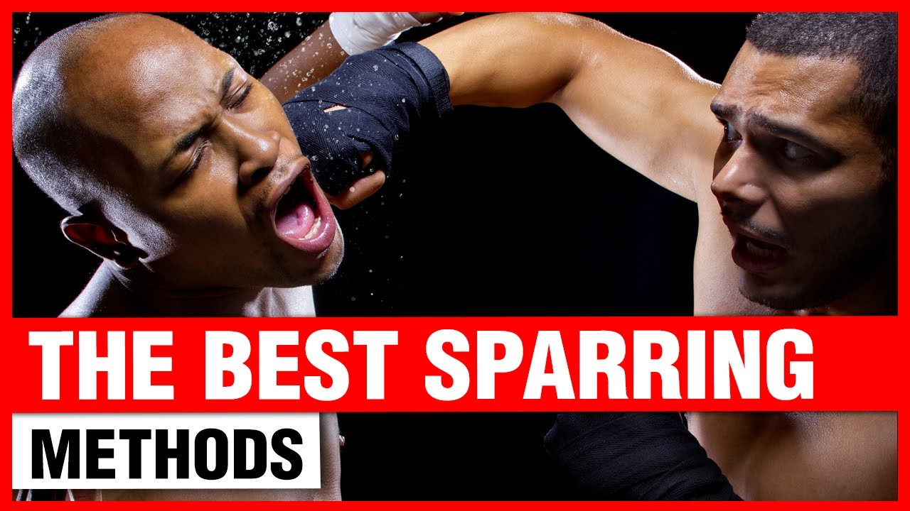 Different Types of Sparring | ART OF ONE DOJO - YouTube