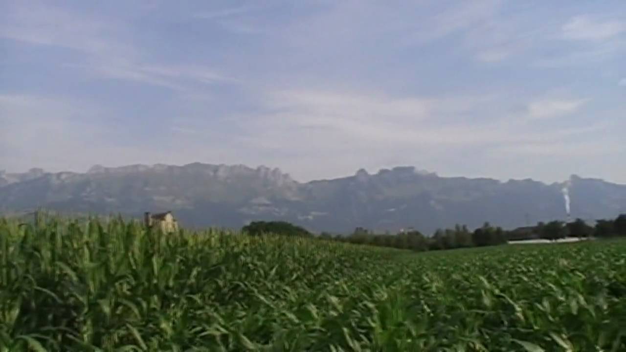 Where can you find Lubera? - YouTube