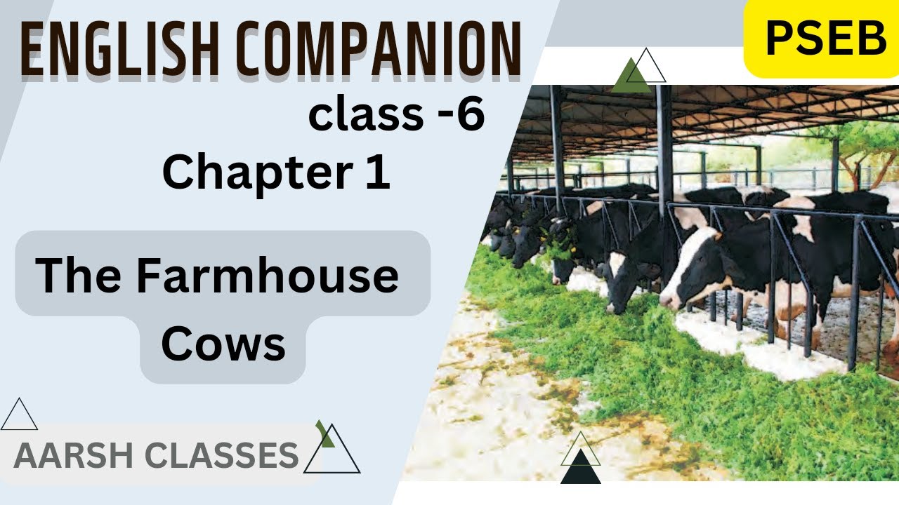 Class 6 PSEB English book (My English Companion)- The Farmhouse Cows ...