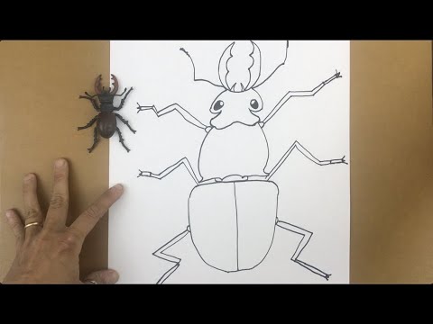 Life Cycle | Beetle | Dung Beetle | Kids | Science | Read Aloud | Story ...