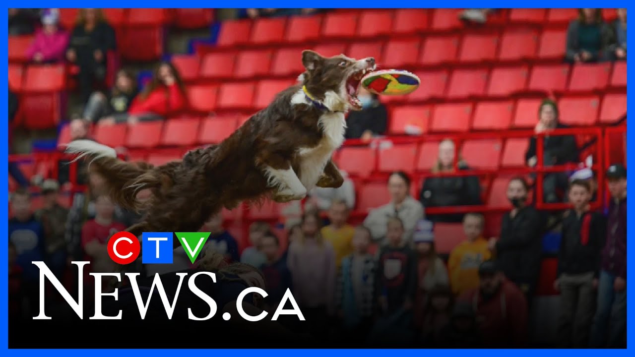 Royal Manitoba Winter Fair preview - YouTube