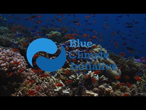 Introducing the Blue Climate Initiative - YouTube