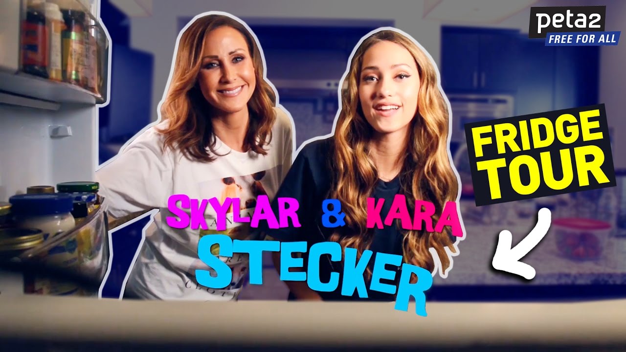 Skylar Stecker House