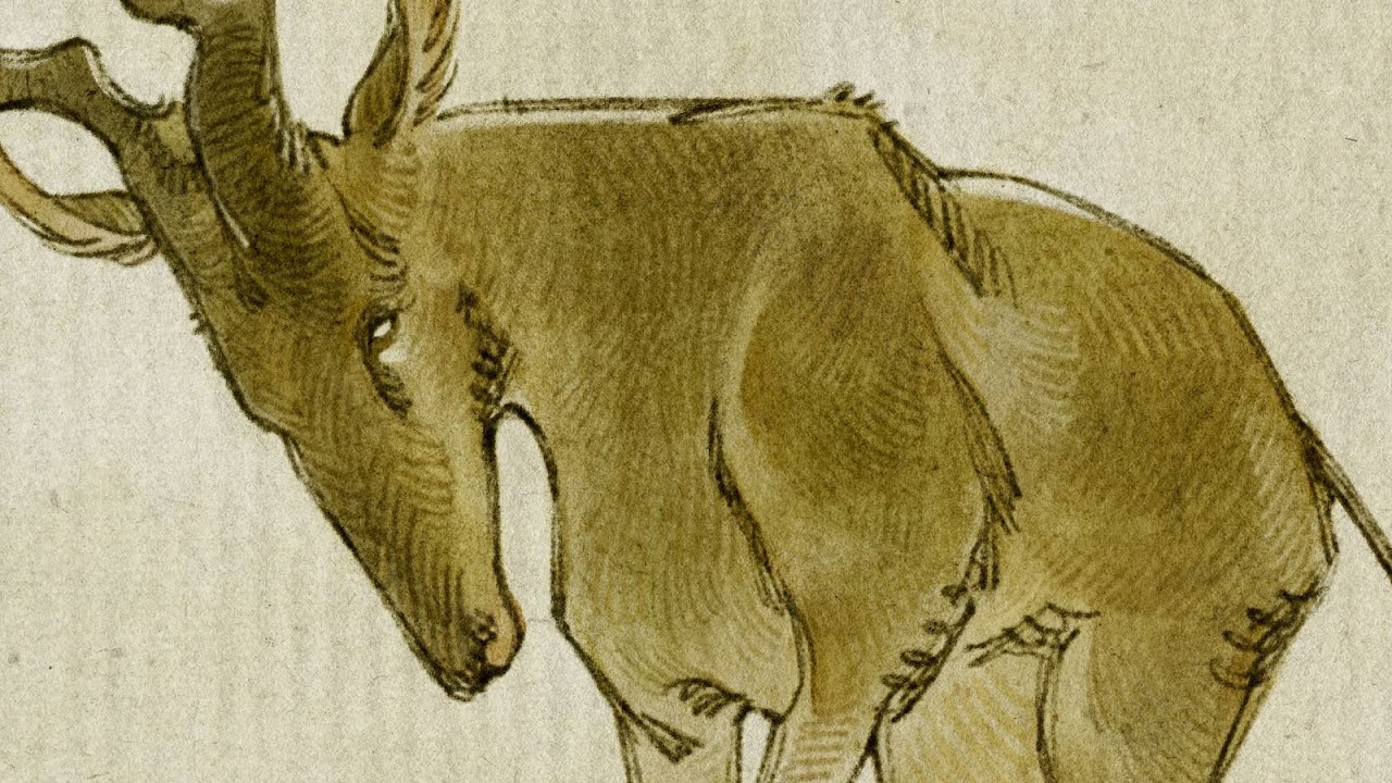 Lark-hearsals: Hartebeest - YouTube Music