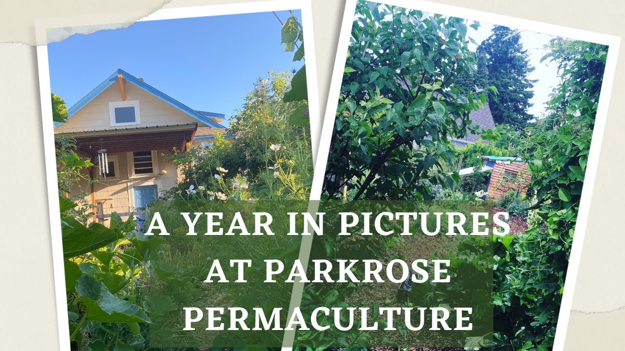 A Year in Pictures at Parkrose Permaculture - YouTube