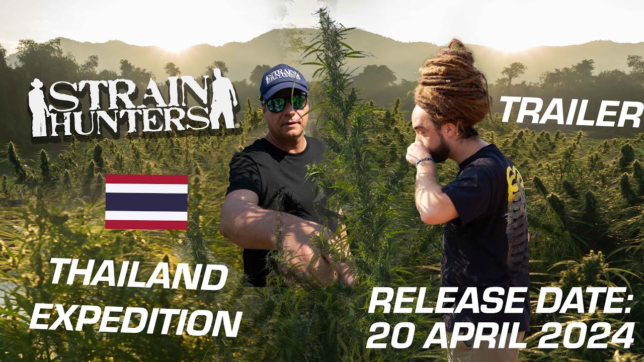 Strain Hunters: Thailand Expedition 2024 - Official Trailer - YouTube