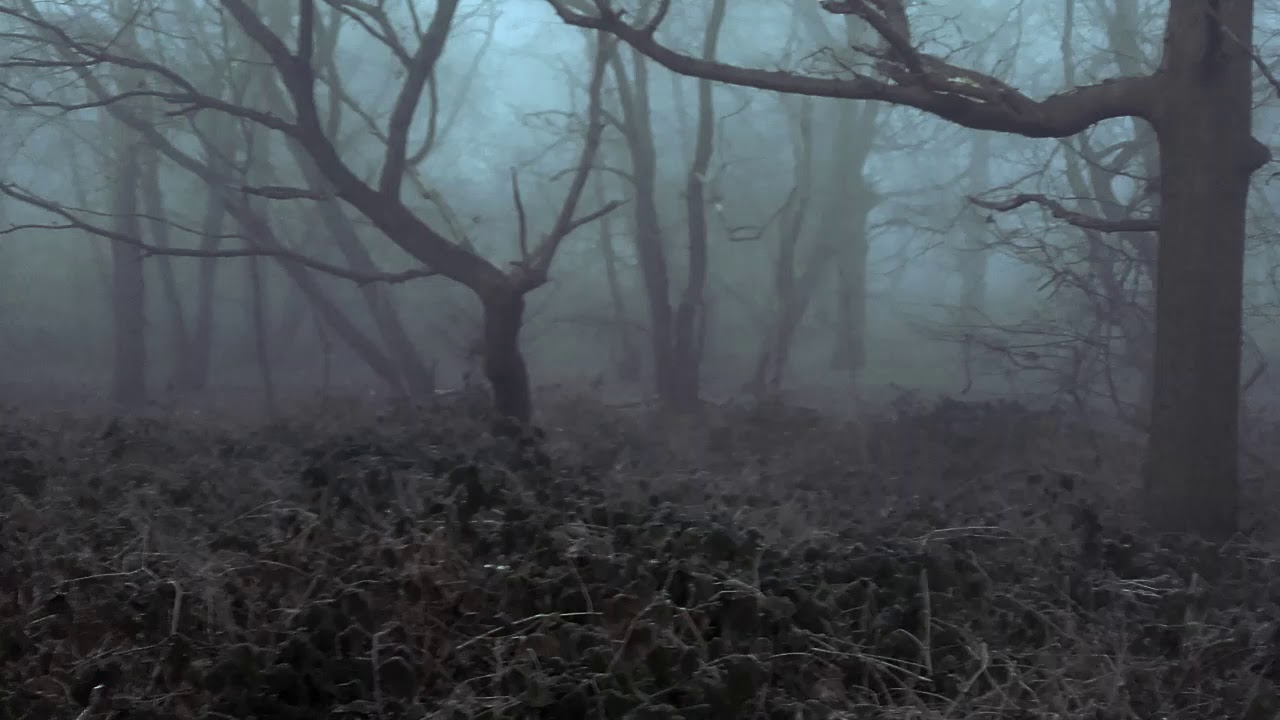 Ed Mayhew - Control Chamber - YouTube