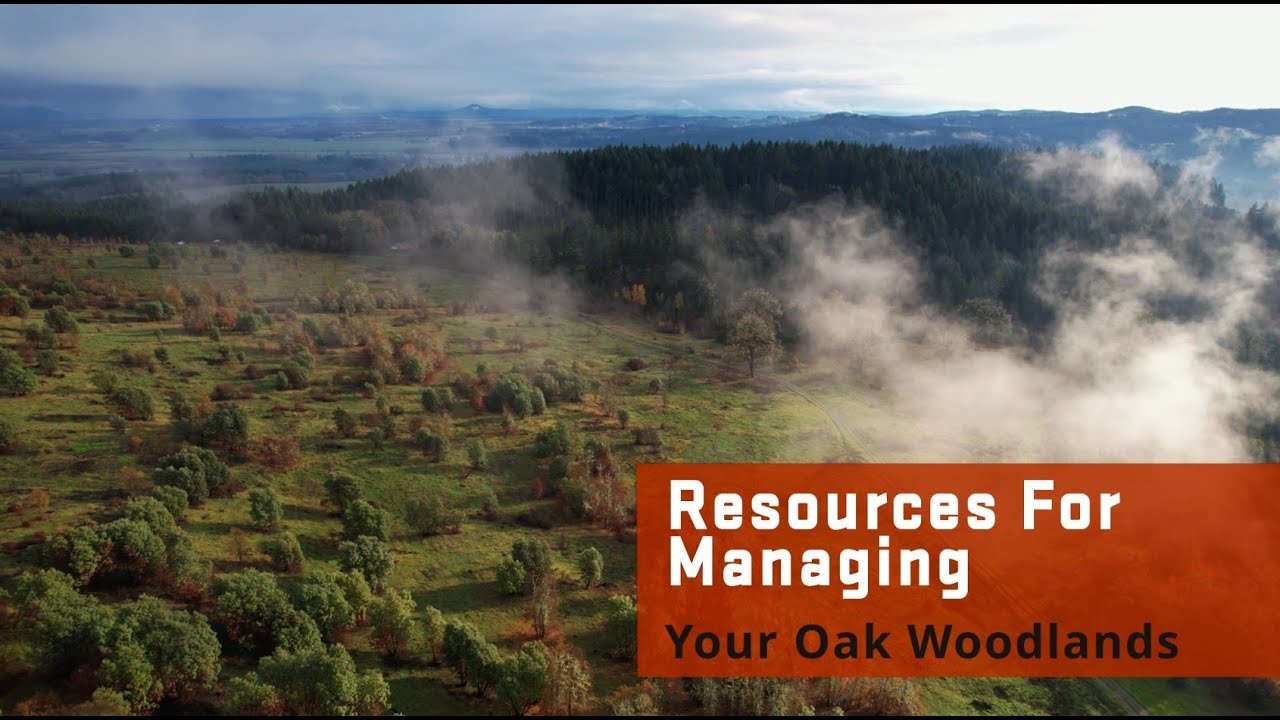 Fire Adapted Oak Landscape Planning Tools - YouTube