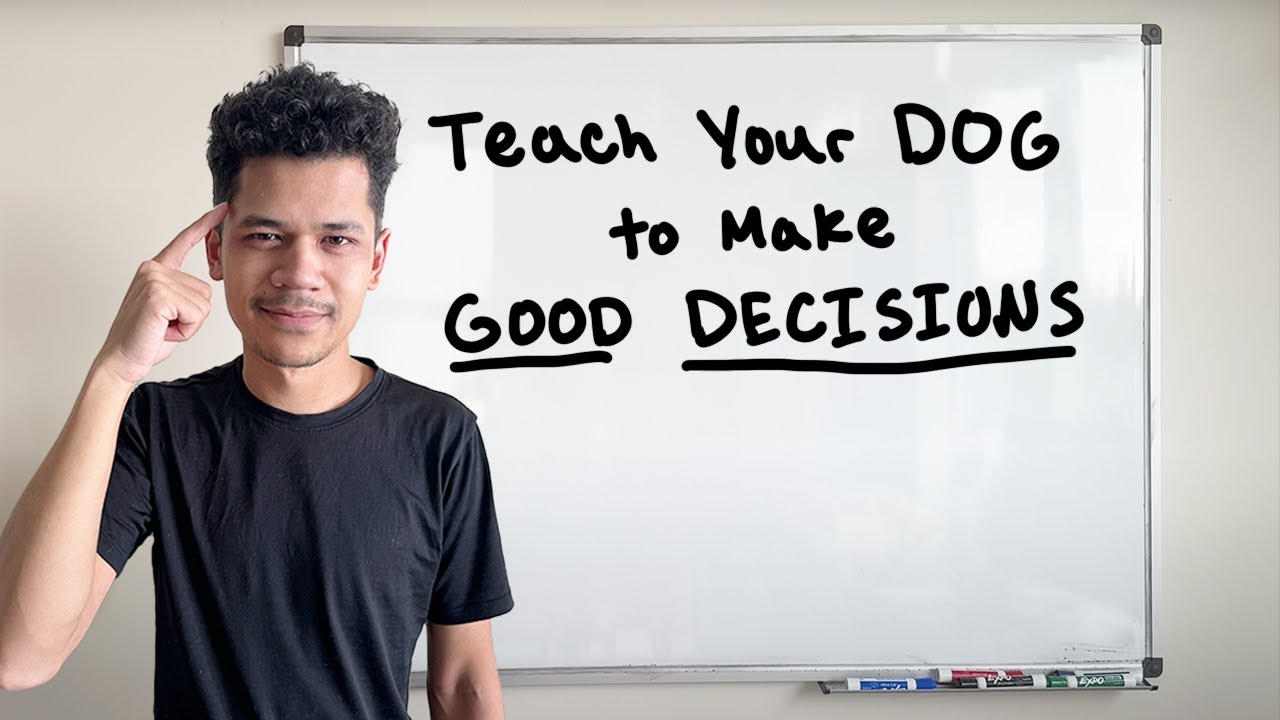 Teaching Your Dog to Make Good Decisions - YouTube