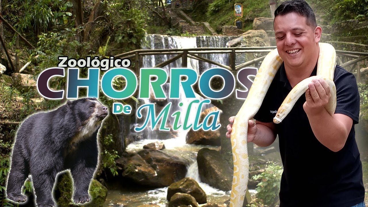 ENTRE los 10 mejores Zoológicos de Venezuela, está el parque CHORROS DE ...