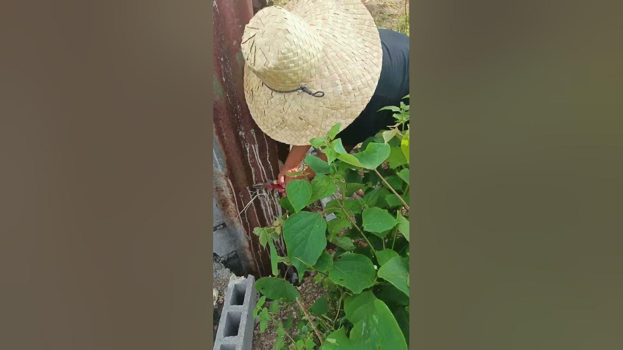 Build house ka Tropa Mo Too - YouTube