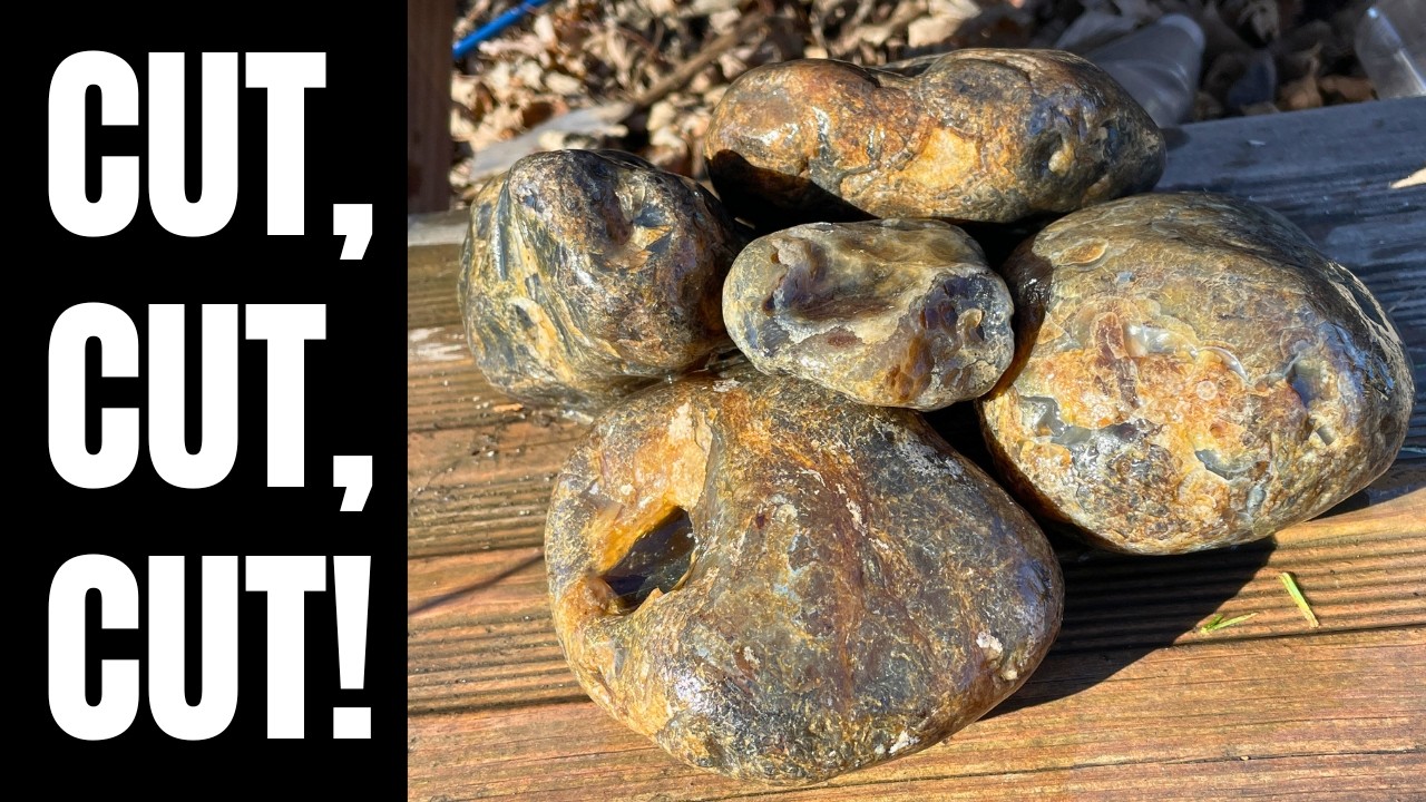 CUTTING Montana AGATES: What's Inside these CHUNKY ROCKS?! - YouTube