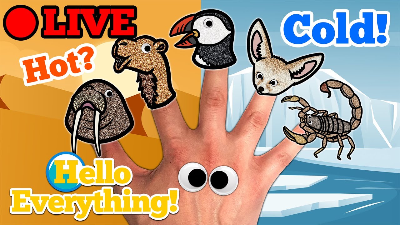 🔴 Hello Everything! 👀 Live Stream | Finger Family Nursery Rhymes ...