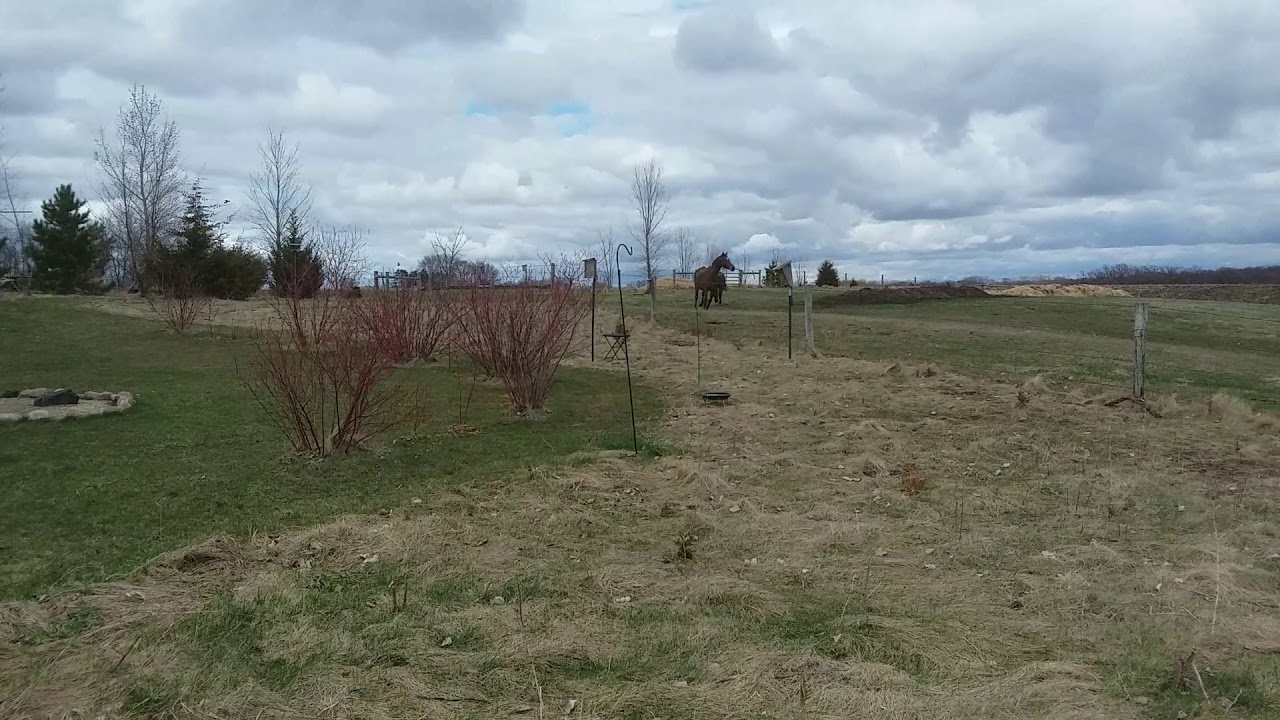 Spring turn out - YouTube