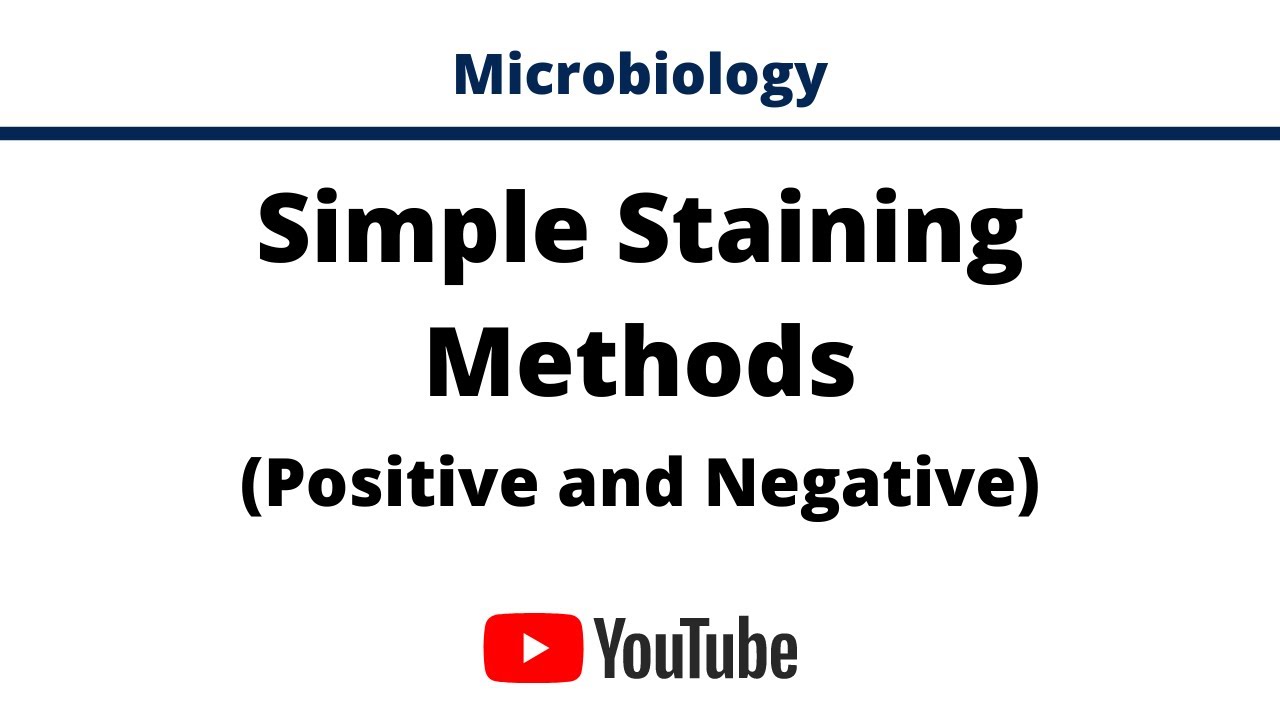 Simple Staining of Bacteria Positive and Negative - YouTube