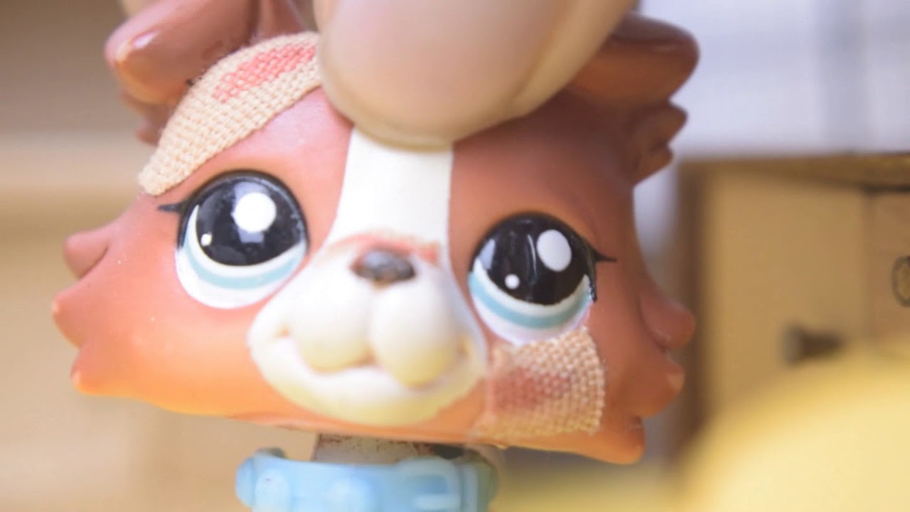 Lps: winter wolf episode 20 season 1 “ get out"|| horror & romance ...