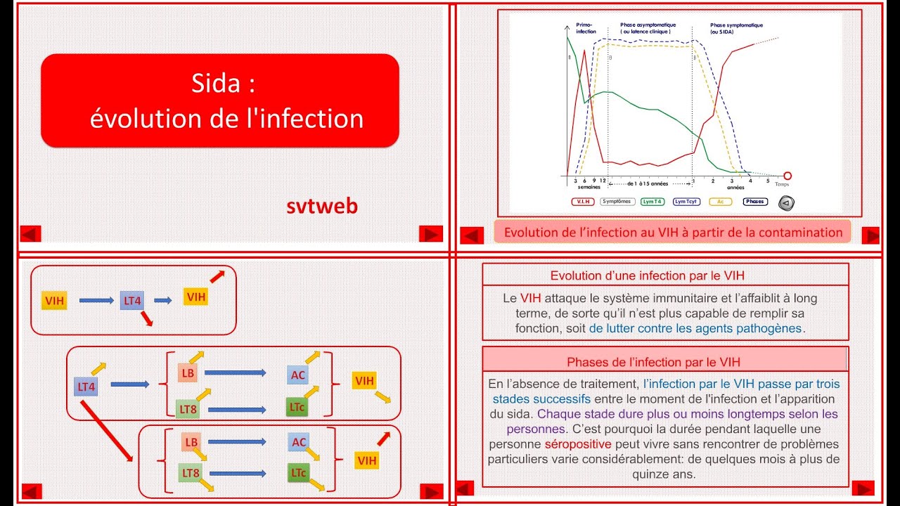 Evolution de l’infection au VIH à partir de la contamination - YouTube