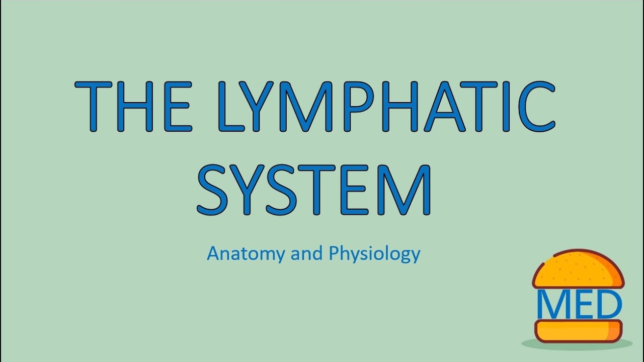 LYMPHATIC SYSTEM made easy! Anatomy and Physiology - YouTube
