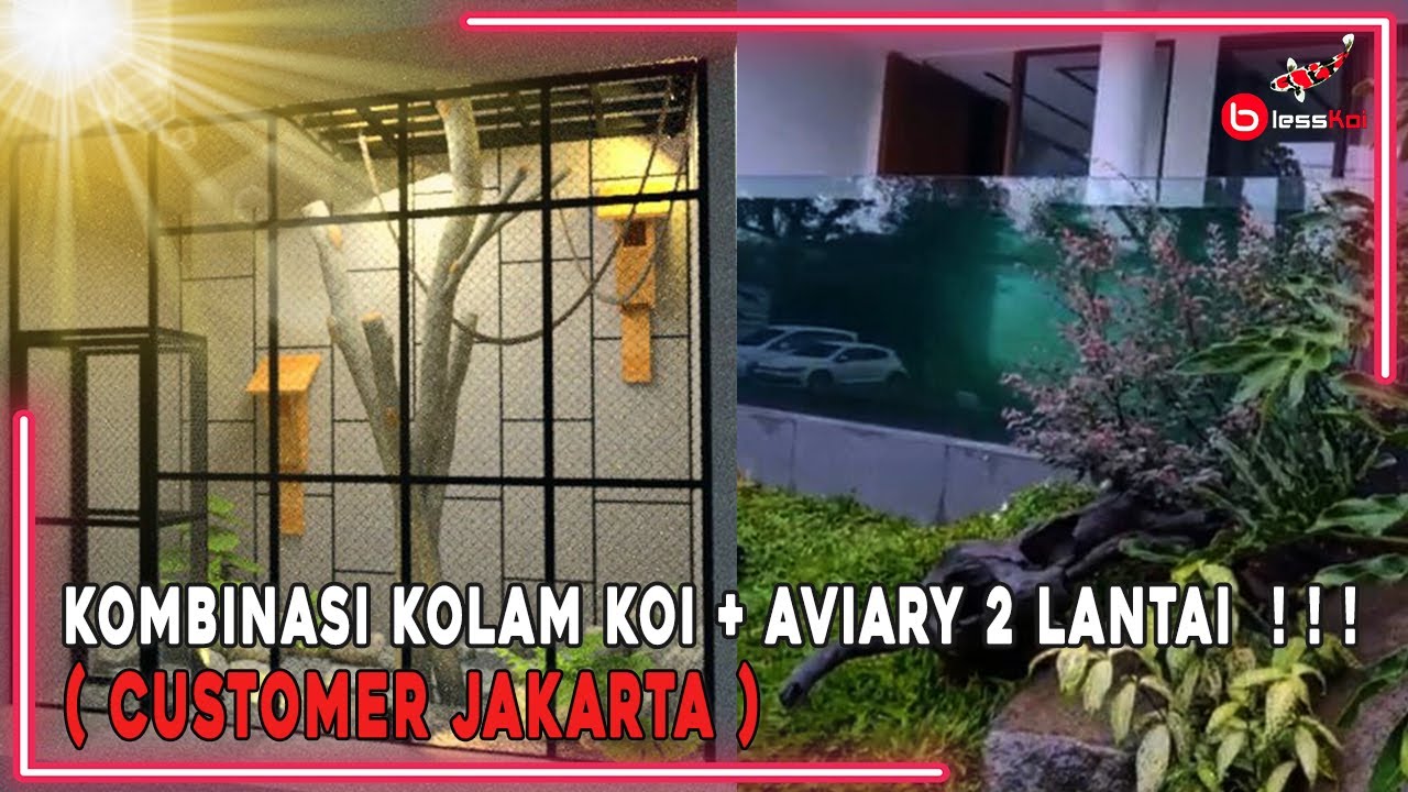 KOMBINASI KOLAM KOI + AVIARY 2 LANTAI ( CUSTOMER JAKARTA ) - YouTube