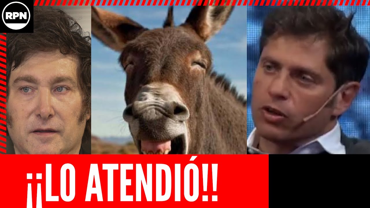 Axel SACÓ de PASEO en SULQUI al BURRO de Milei: "Es un estafador" - YouTube