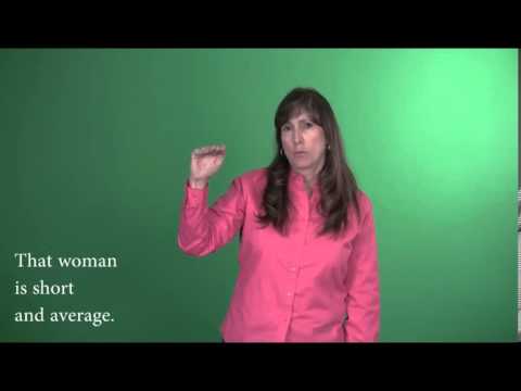 Sign Language - Level 1: Adjectives to Describe Height And Weight - YouTube