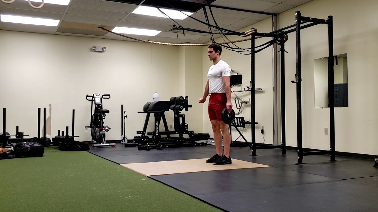 Forearms: Pinching two plates together static hold - YouTube