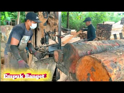 Demen Kalo Ketemu kayu Modele Gede Mulus..!! auto mesem..