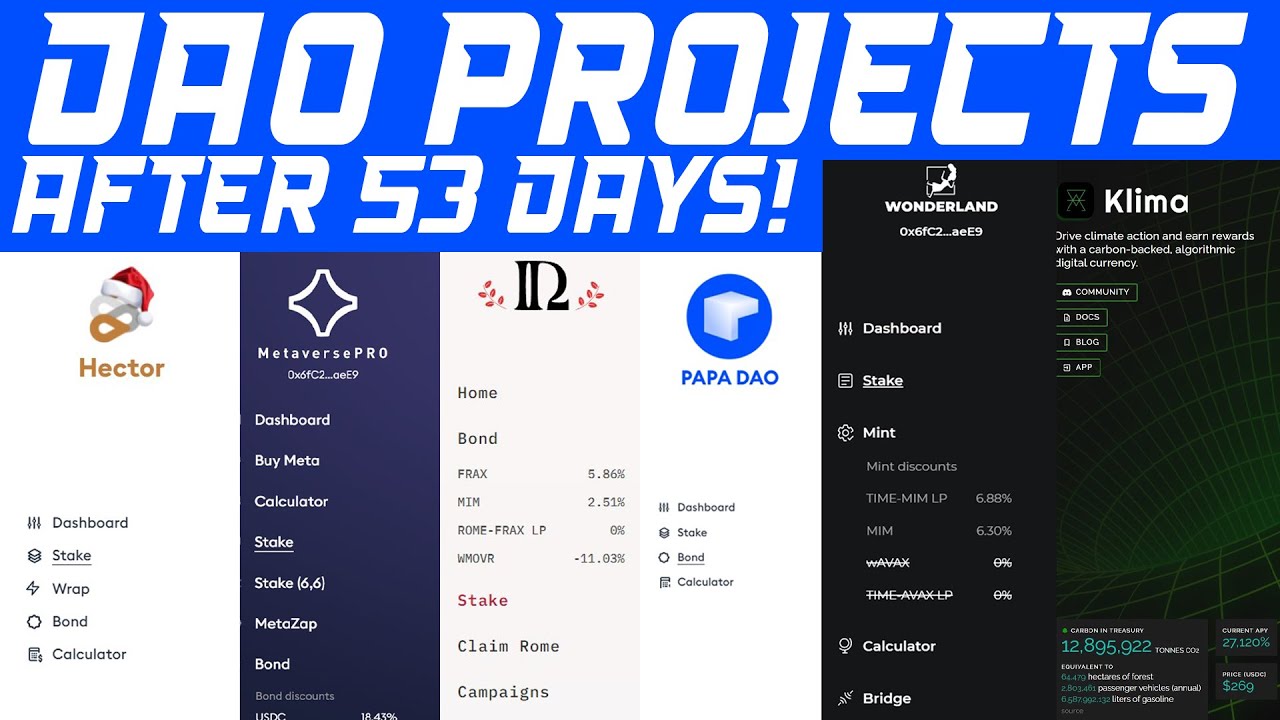 DAO Projects: What It's Like To Be Invested After 53 Days - YouTube