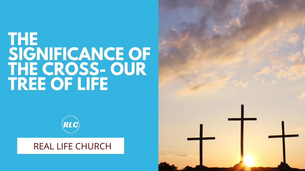 The SIGNIFICANCE of the Cross: Our Tree of Life - YouTube