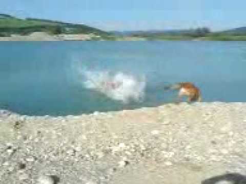 Boris Britva s bicyklom na jazere - YouTube