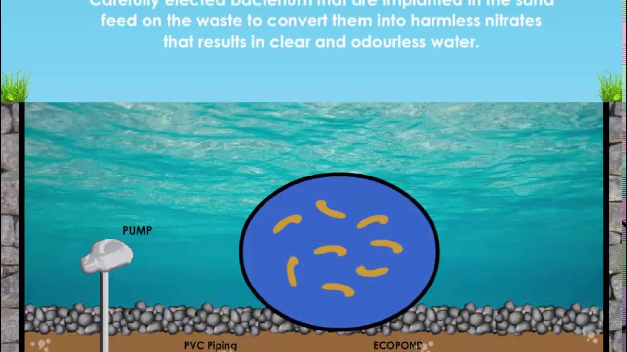 How The Ecopond System Works - YouTube
