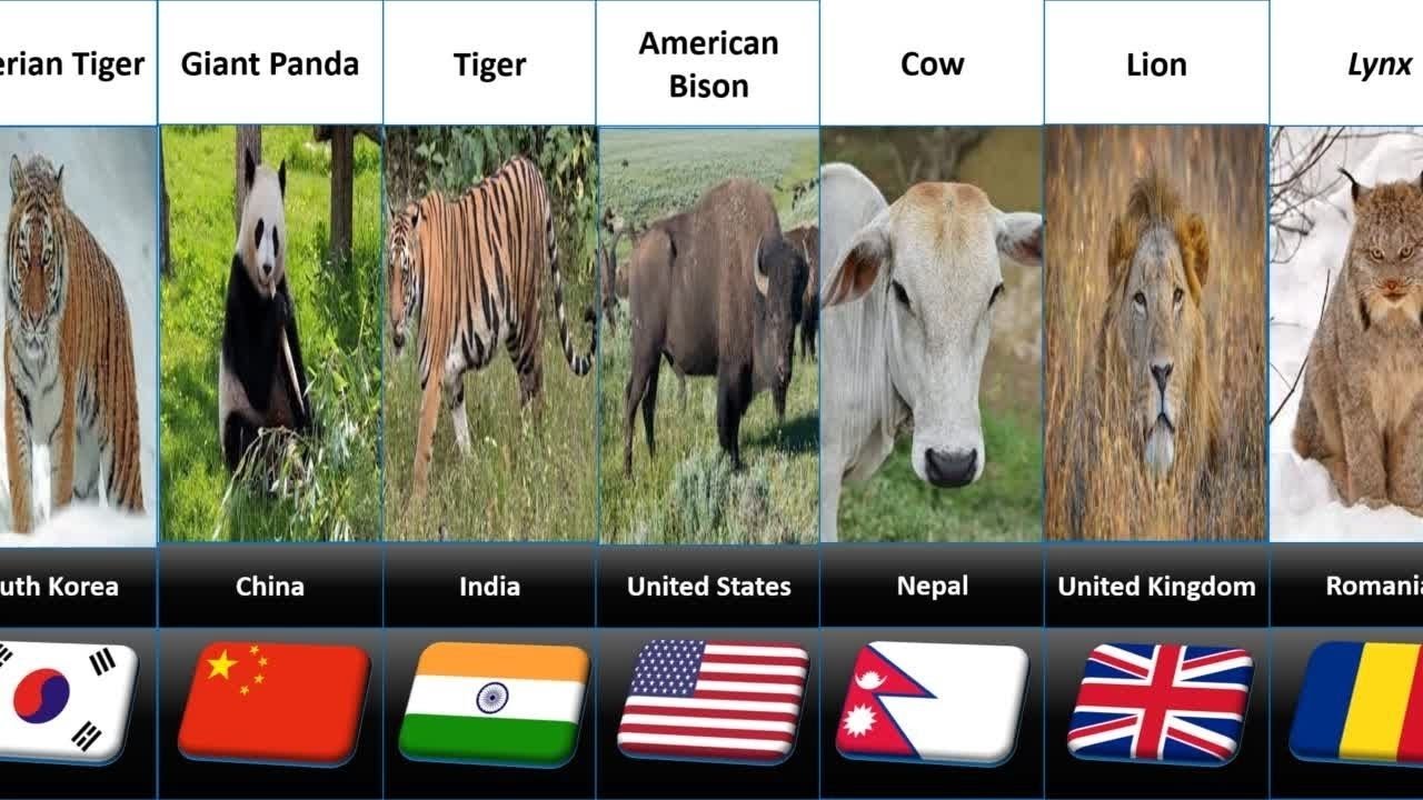 National Animals of all Country 2023. List of National Animals of all ...