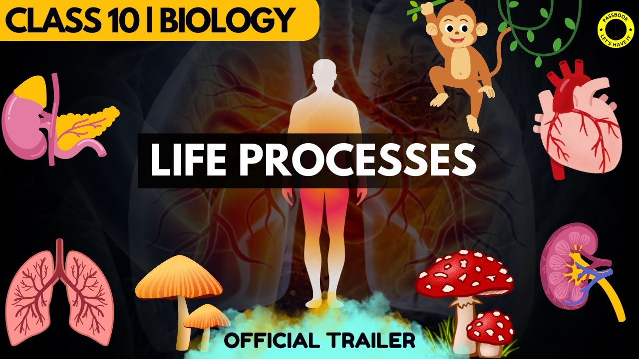 LIFE PROCESSES FULL CHAPTER | HD TRAILER | CLASS 10TH SCIENCE | CHAPTER ...