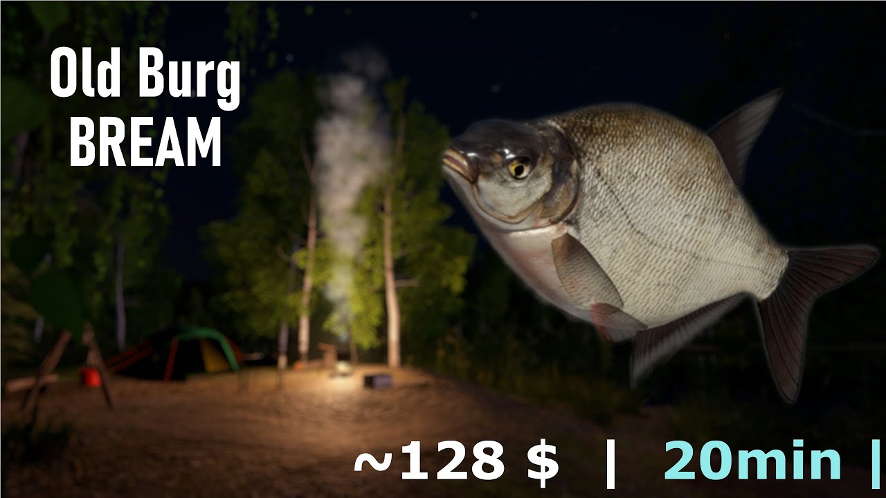 Bream Leszcz Russian Fishing 4 Old Burg | rf4 spot 339 - YouTube