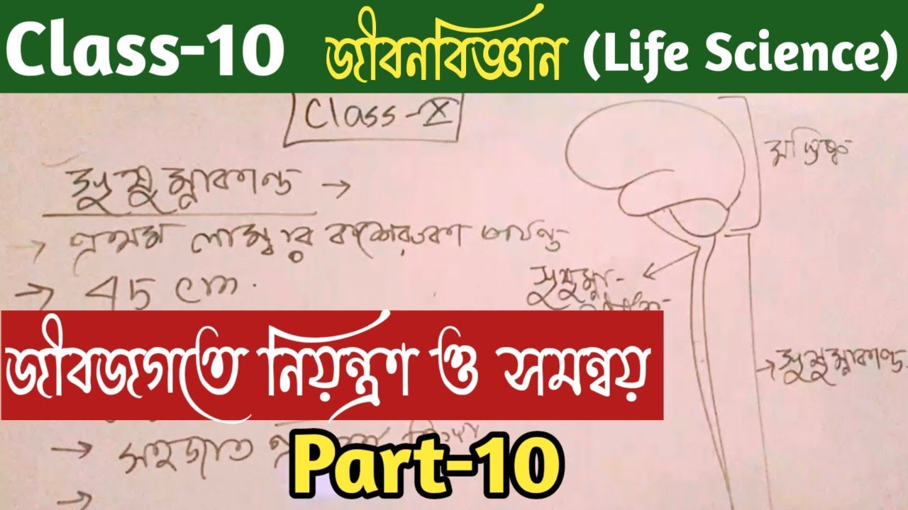 Class-10,Life Science(জীবনবিজ্ঞান),Chapter-1//জীবজগতে নিয়ন্ত্রণ ও ...