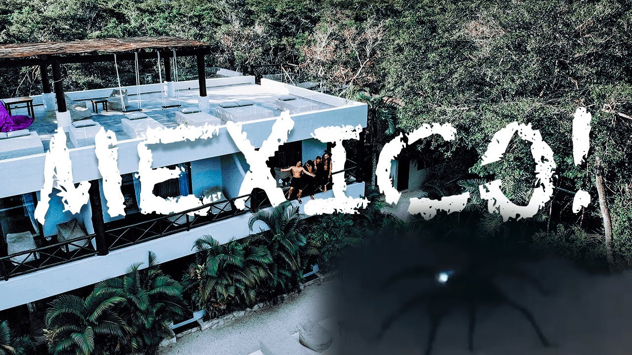 mexico/tulum VLOG - TARANTULA IN OUR ROOM!! - YouTube