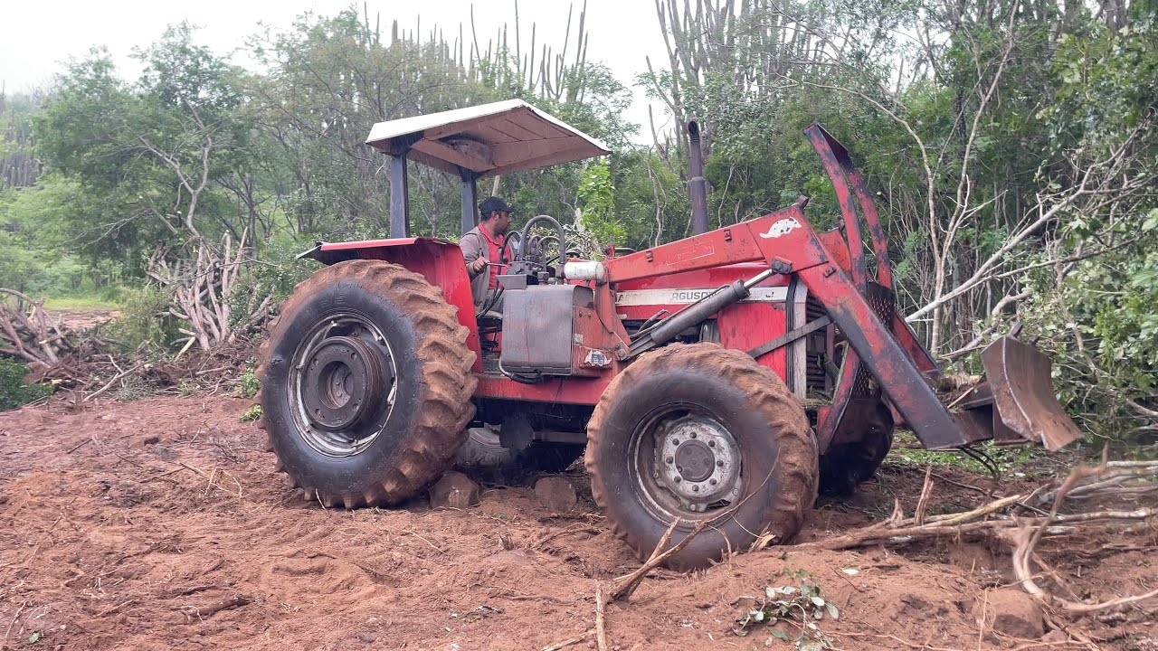 Chovendo e o trator massey ferguson 290 derrubando o mato bruto - YouTube