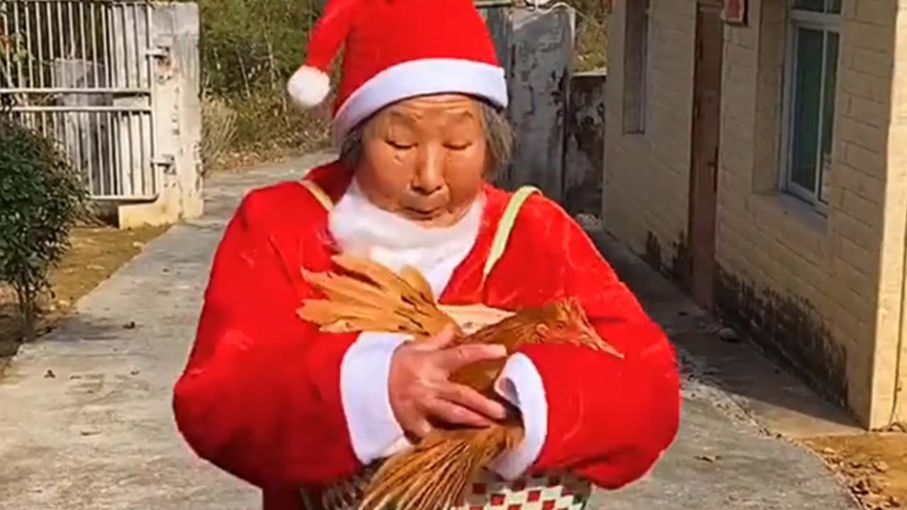 Chicken lays golden eggs in real life. - YouTube