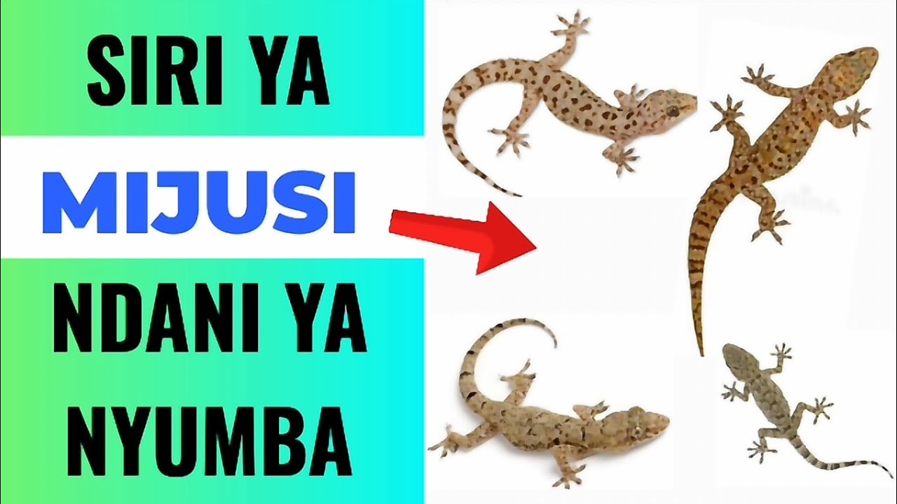 Hii ndio SIRI ya MIJUSI Ndani ya NYUMBA | kamwe USIPUUZE - YouTube