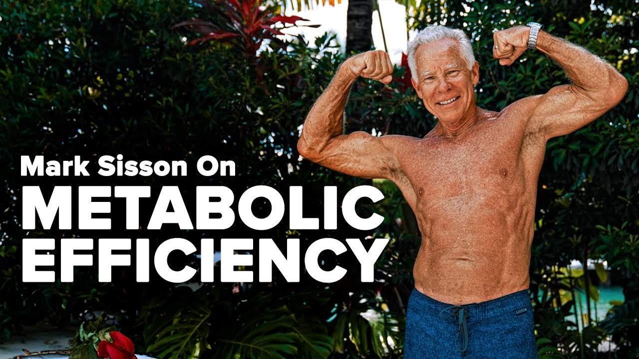 Why It's Better to Have an Efficient Metabolism Than a Fast One | Mark ...