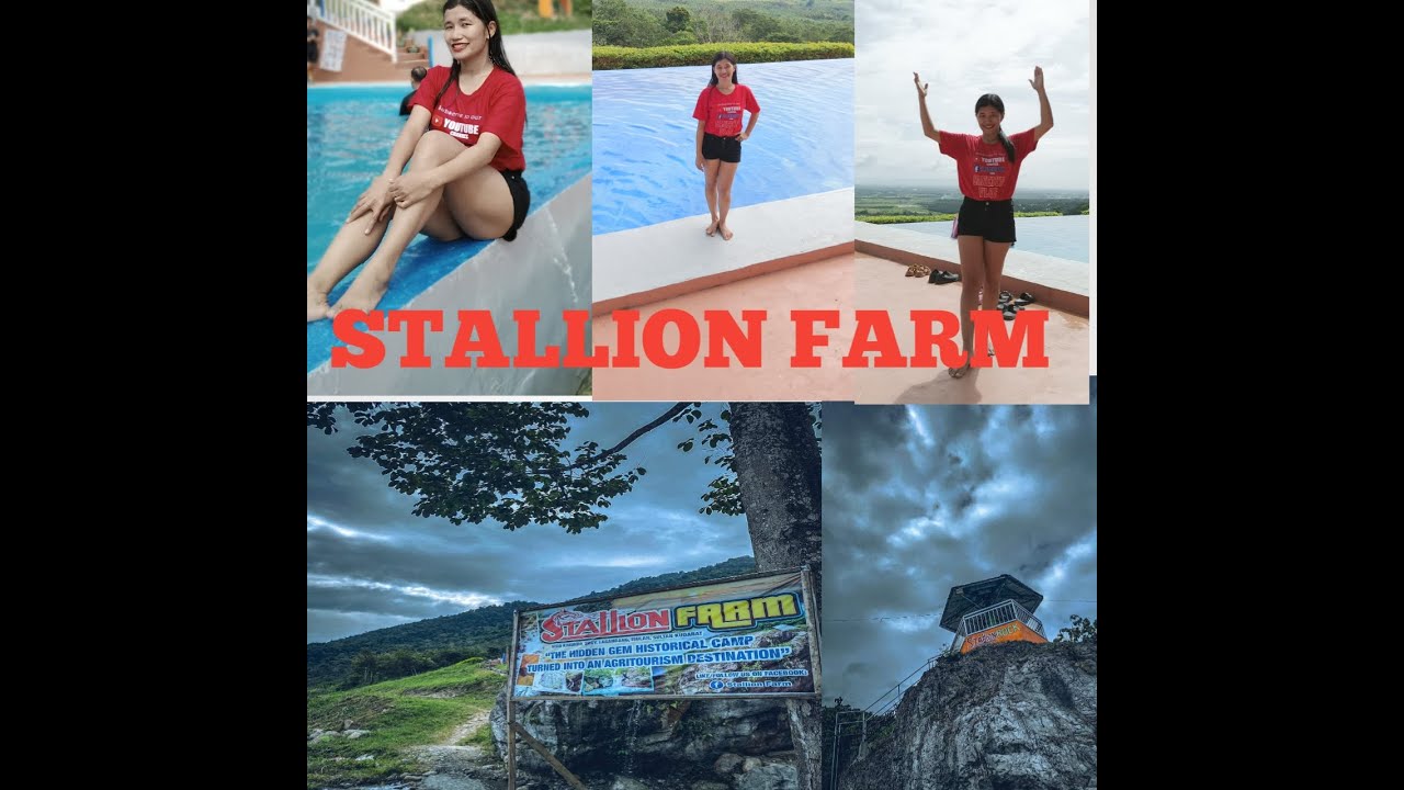 STALLION FARM , SITIO KIMUNDO ,BRGY LAGANDANG ISULAN SULTAN KUDARAT ...