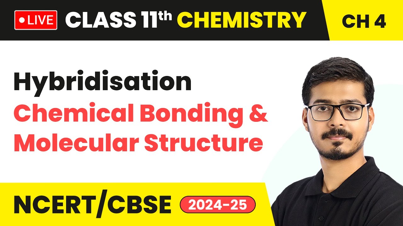 Hybridisation - Chemical Bonding and Molecular Structure | Class 11 ...