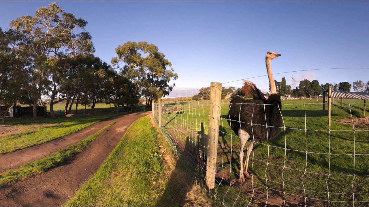 Chesterfield Farm - YouTube