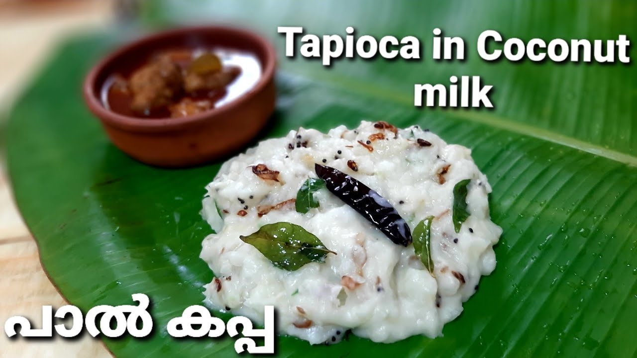 പാൽ കപ്പ || Paal Kappa || Tapioca in Coconut Milk || Kerala Paal Kappa ...