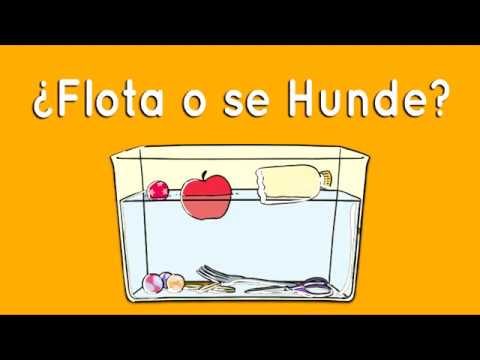 Experimento: Hundir - Flotar - Montessori Omeyocan - YouTube