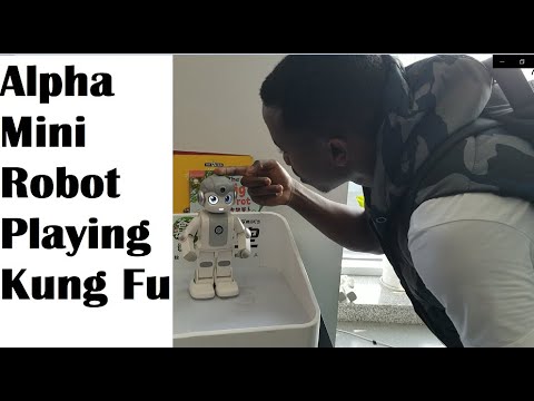 UBTECH's Alpha Mini Robot - Playing Kung Fu - YouTube